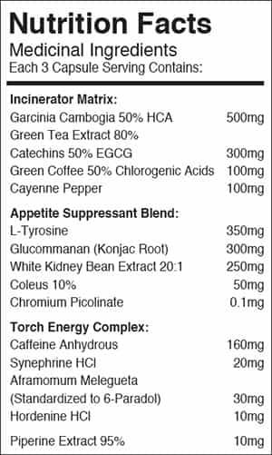 Cygen Torch unveiled and now available direct