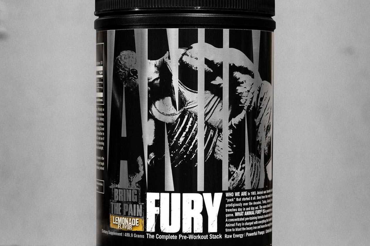 Animal Fury - Stack3d