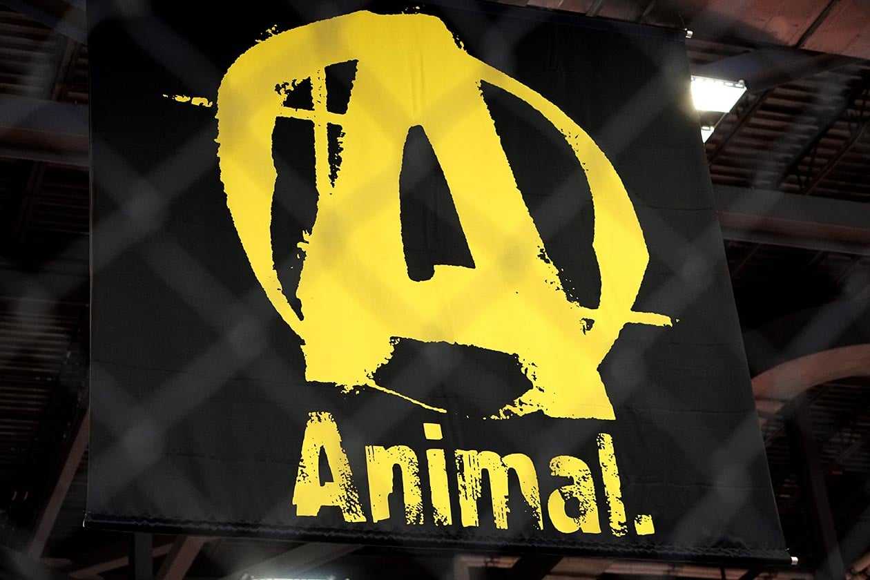 Winners of the Stack3d Supplement Expo Awards at the 2019 Arnold - Stack3d