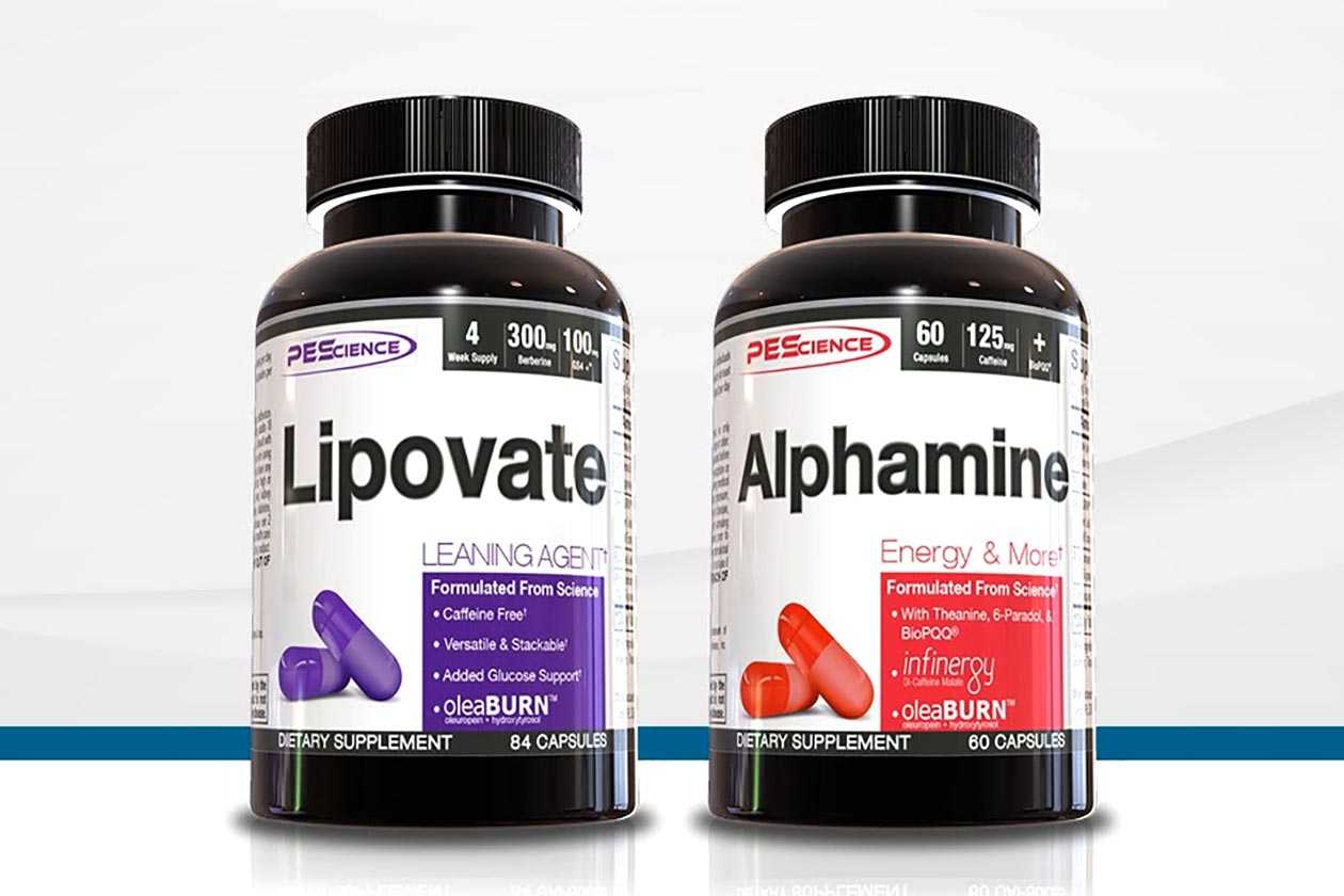 Alphamine capsules get a new mix of ingredients for energy and focus - Stack3d