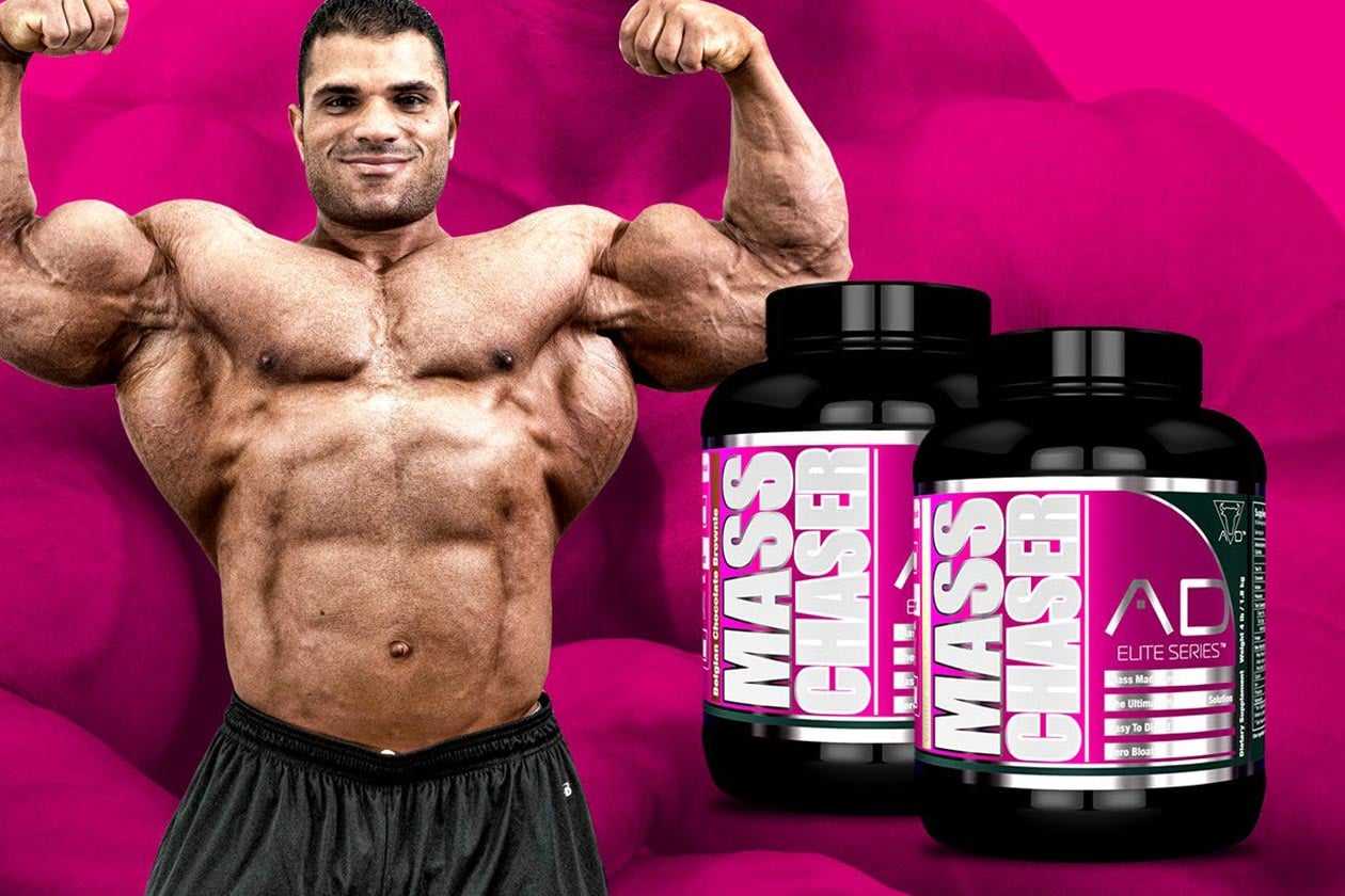 Anabolic Designs Mass Chaser packed with calories and smooth mixability