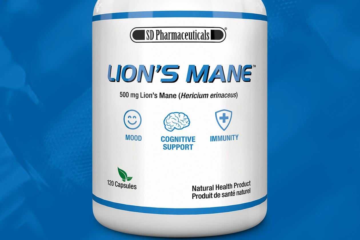 SD Pharmaceuticals launches a capsule formula featuring only lion's mane