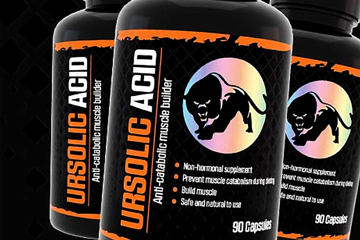 Simple ursolic acid capsule formula now available from Predator Nutrition