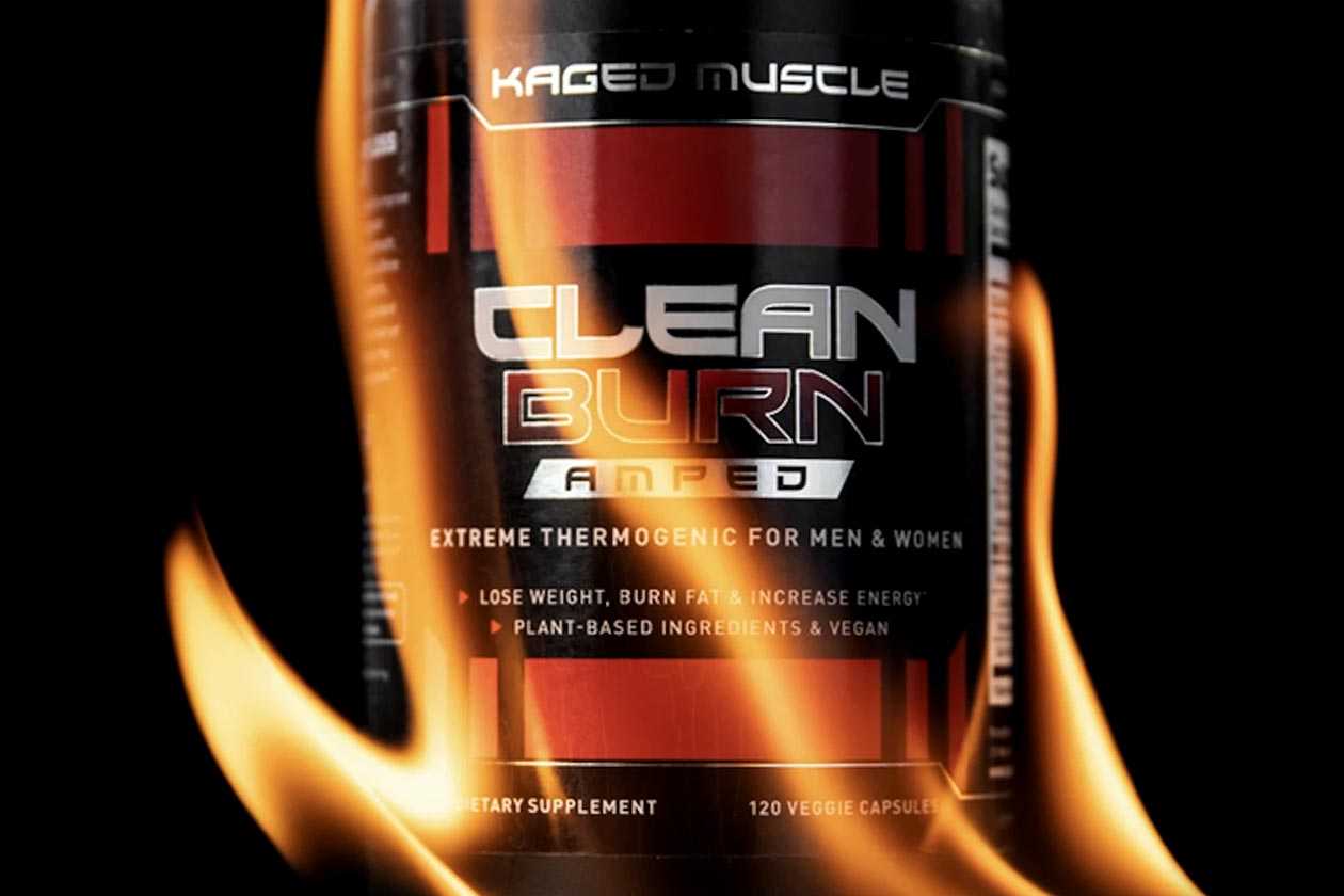 Svetol supplements - Stack3d