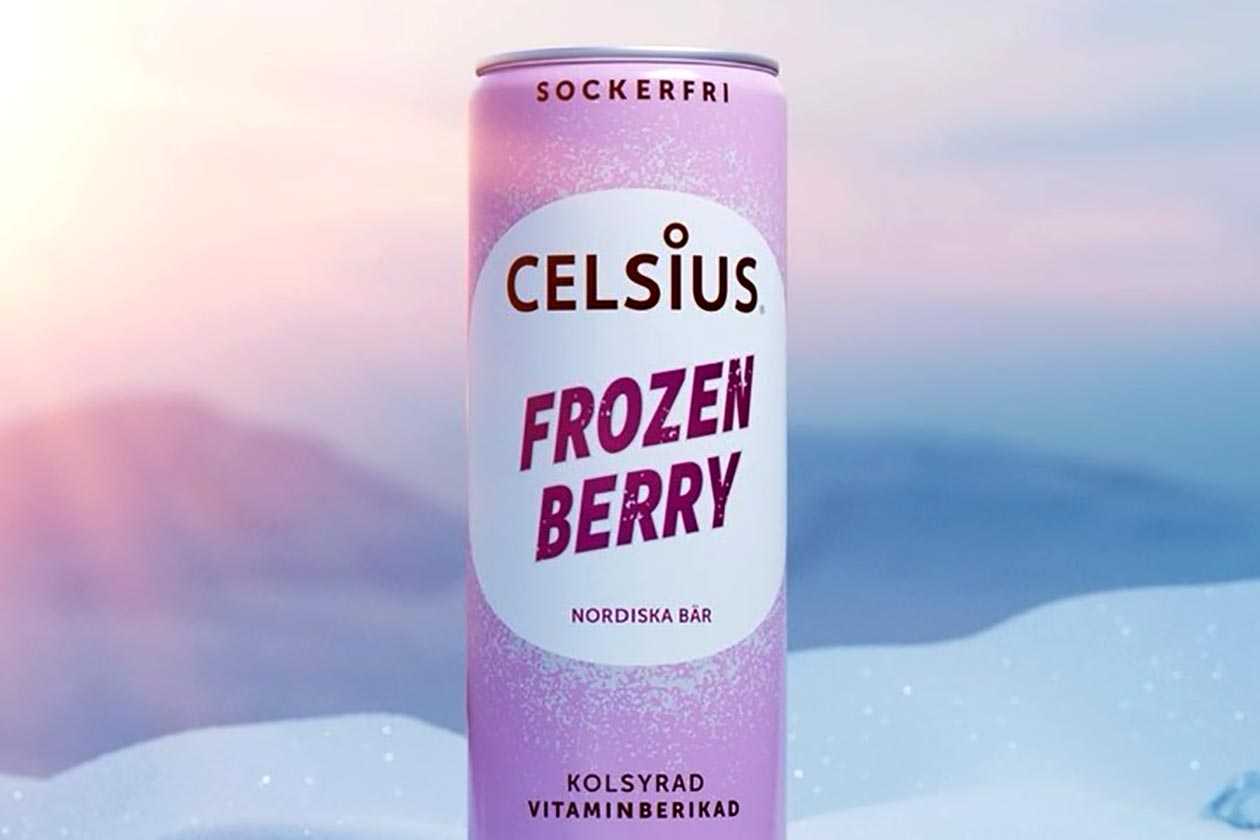 Originally limited Frozen Berry Celsius from 2019 is back and here to stay