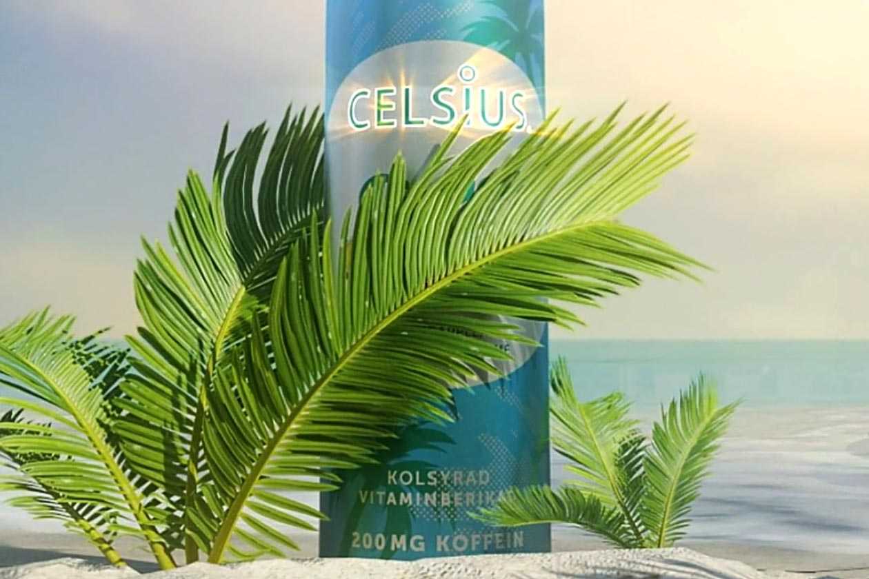 Celsius Sweden prepares to launch another creative special edition flavor