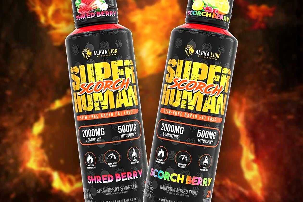 Alpha Lion combines carnitine, MitoBurn and more in Superhuman Scorch
