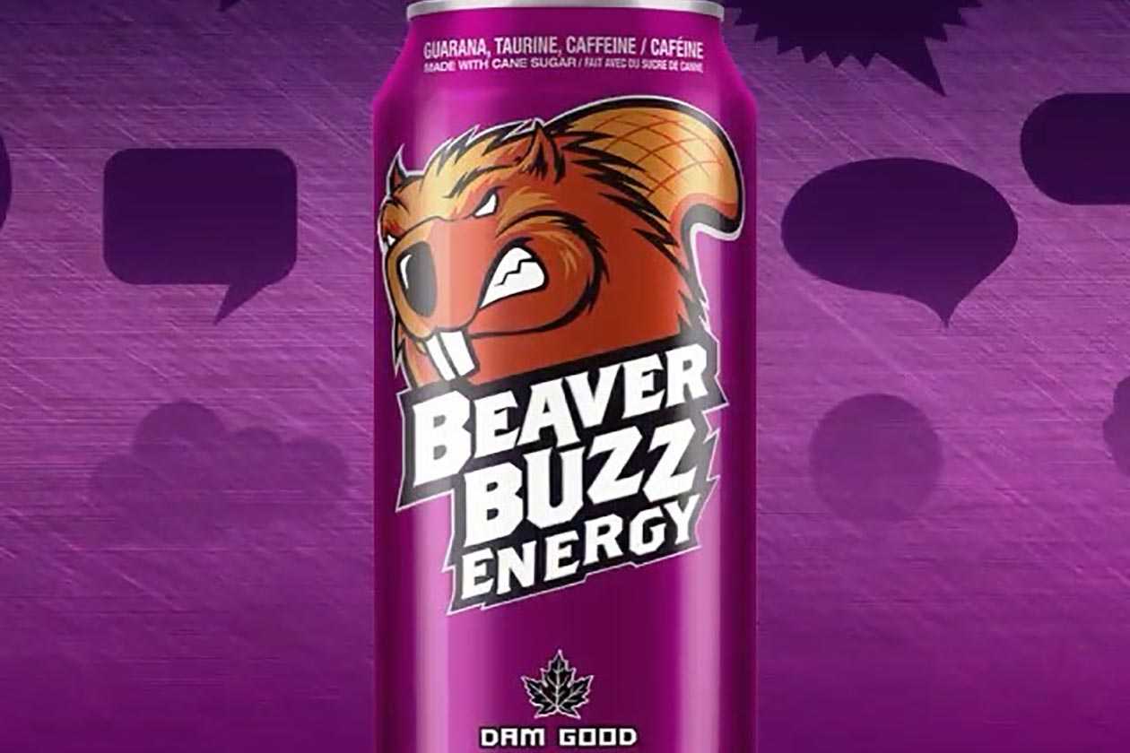 Black Currant Beaver Buzz Energy drink is back and seemingly for good