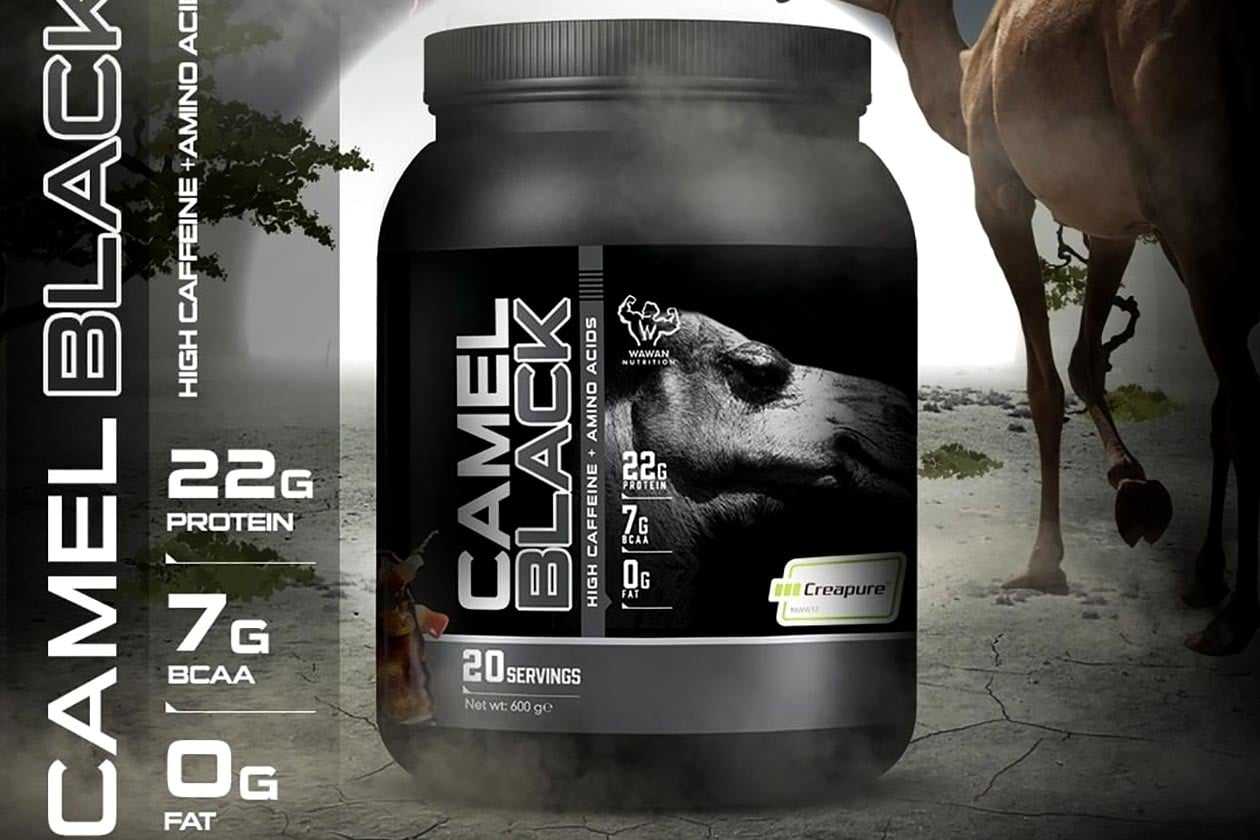 Wawan Nutrition - Stack3d