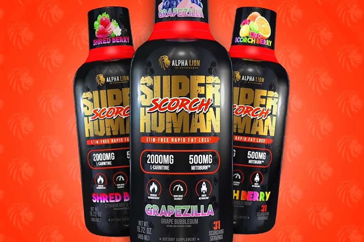 Alpha Lion reveals Superhuman Scorch in a tasty Grapezilla flavor