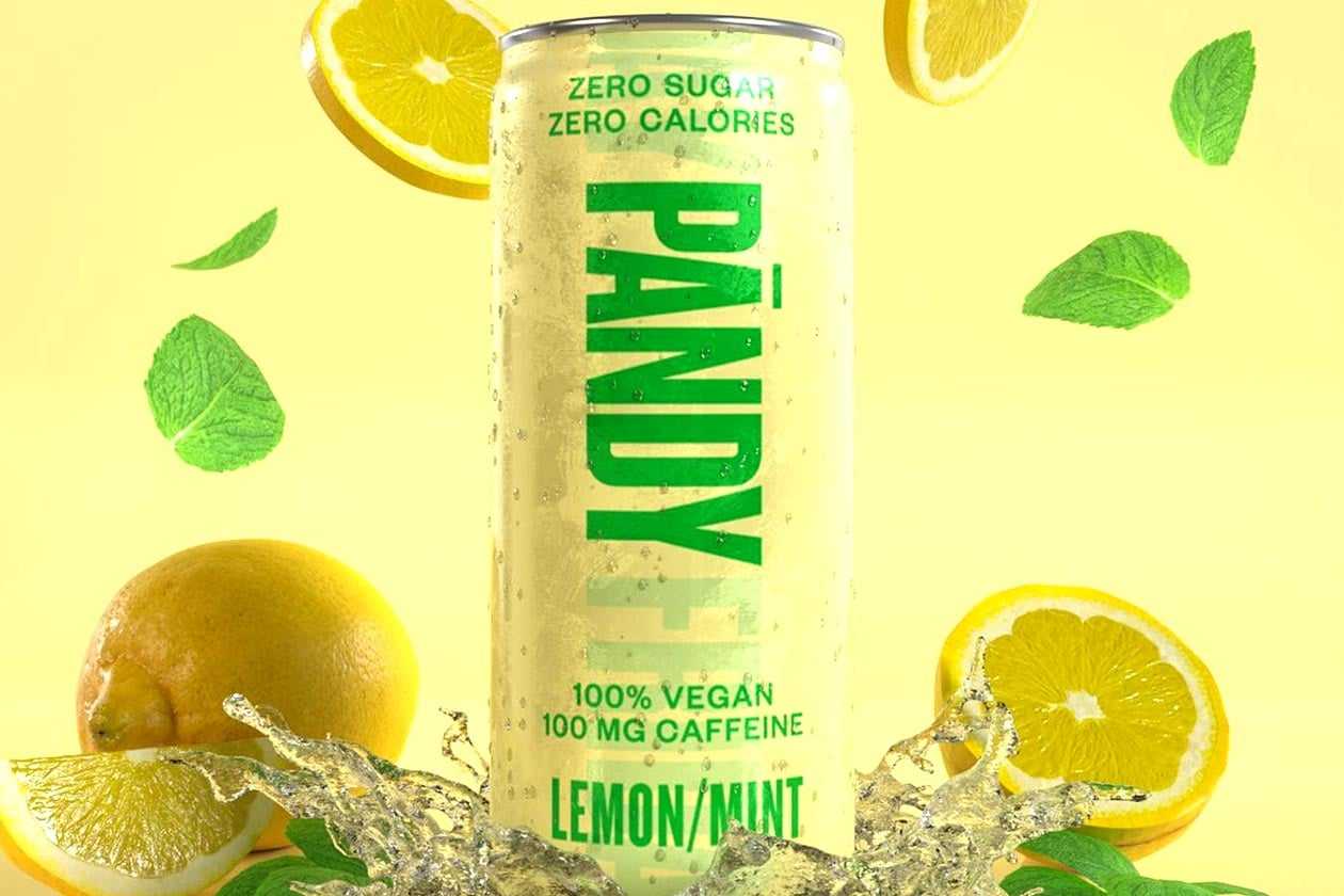Pandy reveals its fifth beverage flavor in a Lemon Mint Pandy Energy Drink