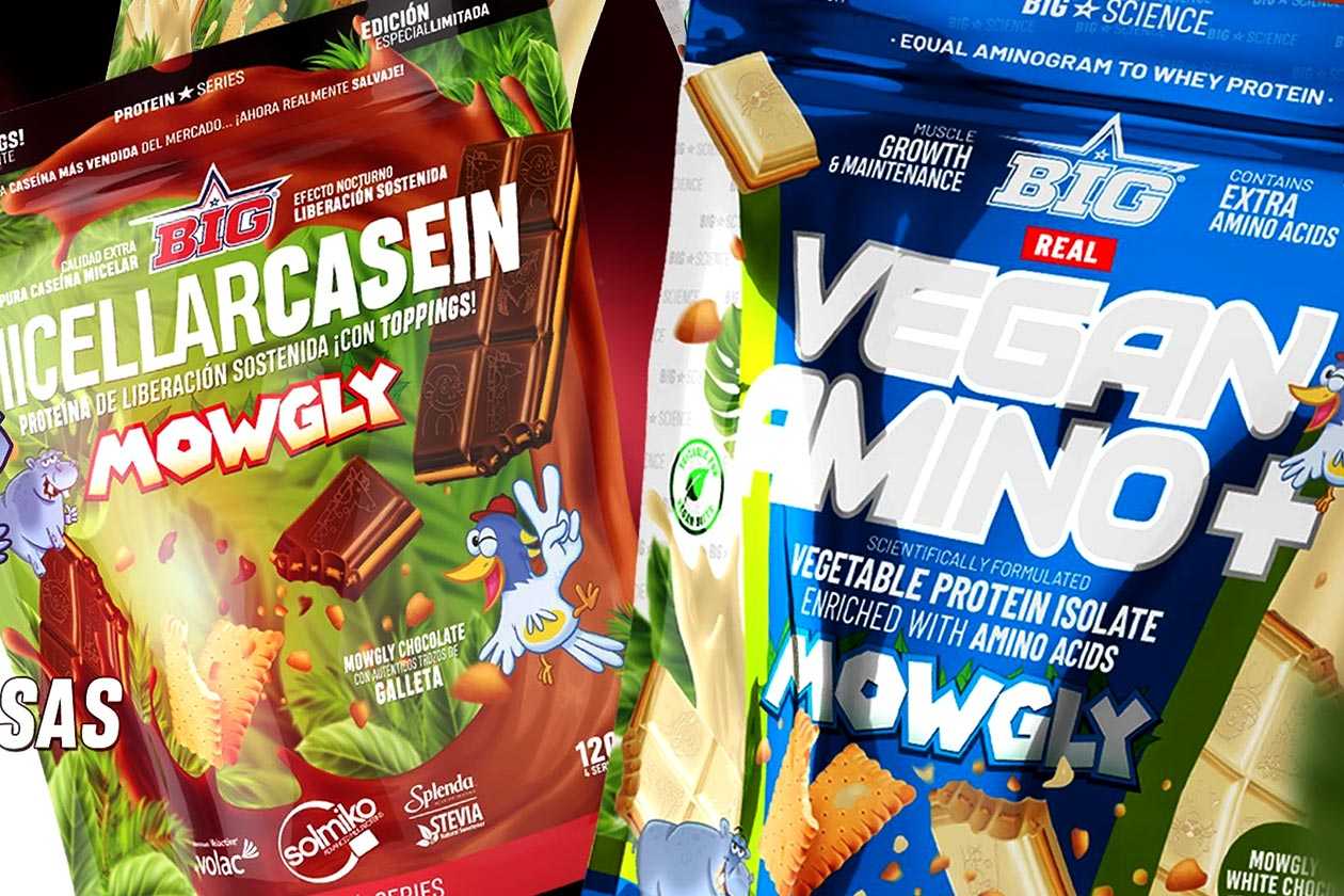 Big Mowgly Chocolate and White Chocolate with real biscuit pieces