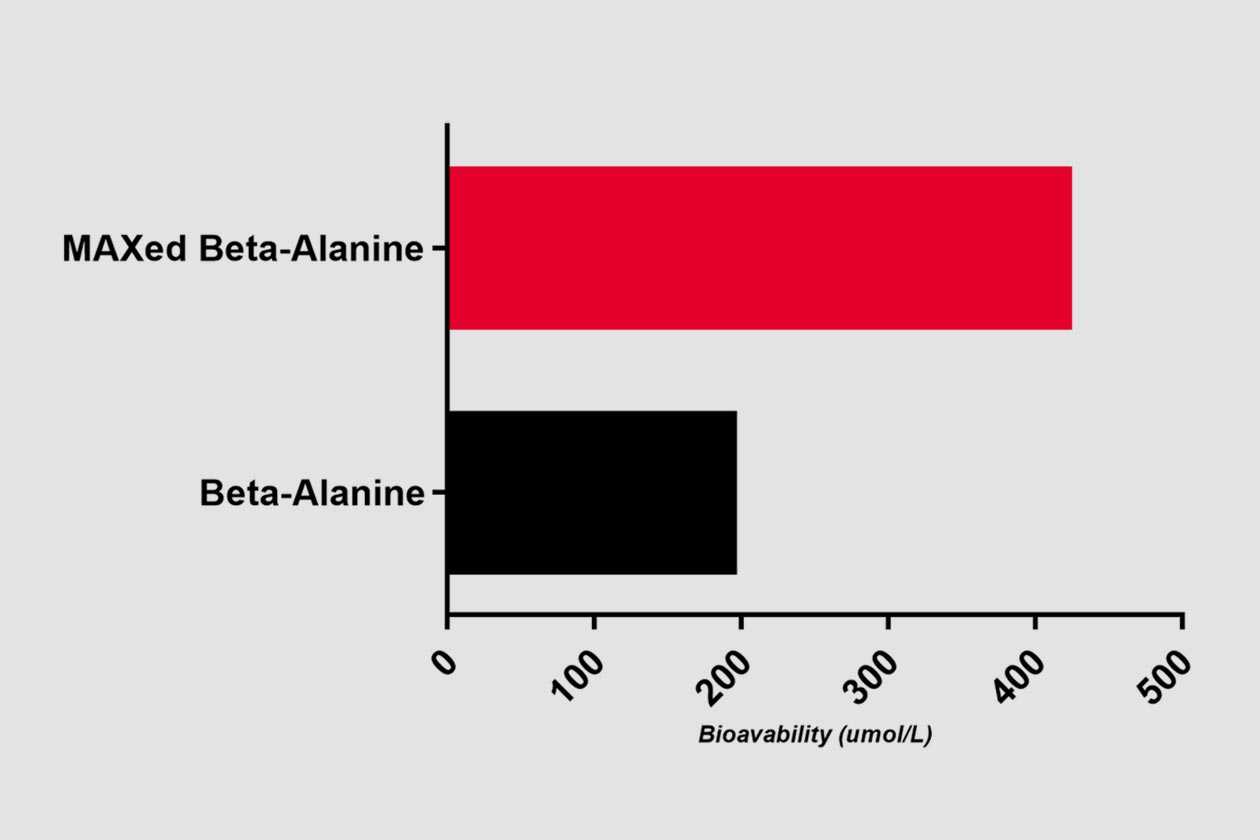 Introducing Nutrabound's absorption maximizing MAXed Catalyst