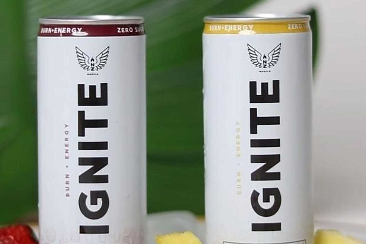 NZ Muscle Berry Blast and Pineapple Coconut Ignite energy drinks