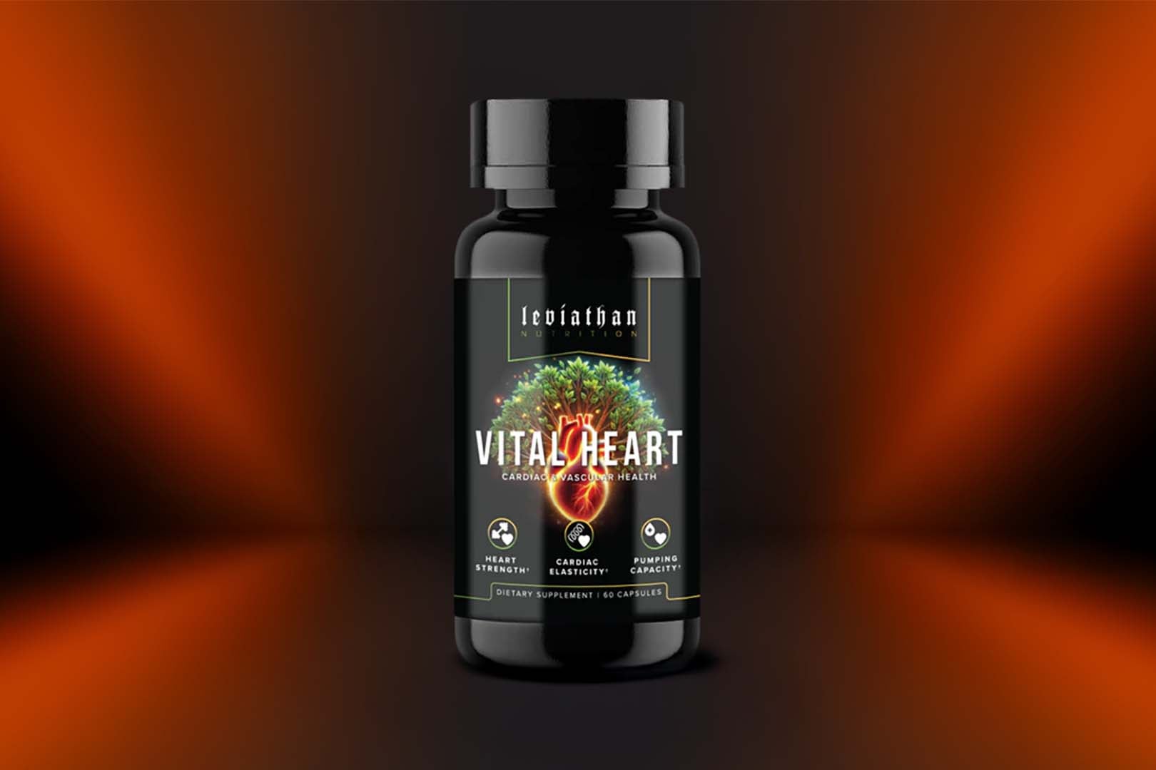 Vital Heart - Stack3d